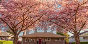 Minecraft House Ideas With Cherry Wood: Dream Builds