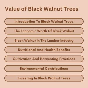 Value of Black Walnut Trees: Unveiling Hidden Wealth