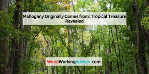 Mahogany Originally Comes from: Tropical Treasure Revealed
