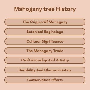 Mahogany tree History: Roots of Elegance & Durability