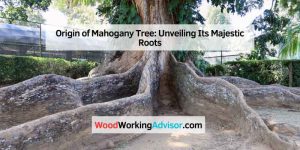Origin of Mahogany Tree: Unveiling Its Majestic Roots