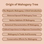 Origin of Mahogany Tree: Unveiling Its Majestic Roots