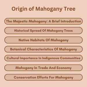 Origin of Mahogany Tree: Unveiling Its Majestic Roots