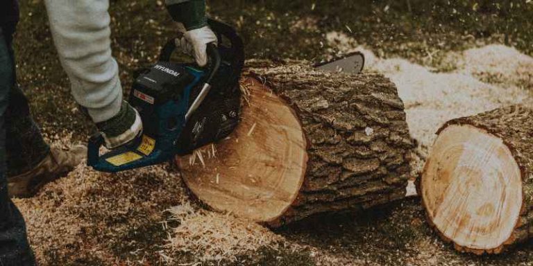 Can Fresh Cut Wood Be Sealed? Ultimate Preservation Tips