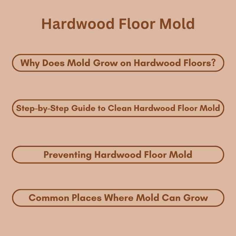 Hardwood Floor Mold: Identification, Prevention, and Removal Tips