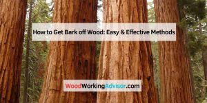 How to Get Bark off Wood: Easy & Effective Methods