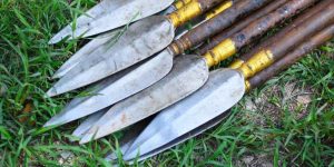 How to Make a Spear Out of Wood: Essential Tips & Tricks