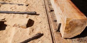 How to Mill Wood: Essential Tips for Perfect Planks