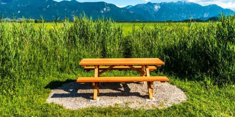 How to Seal a Wood Picnic Table: Top Tips & Tricks