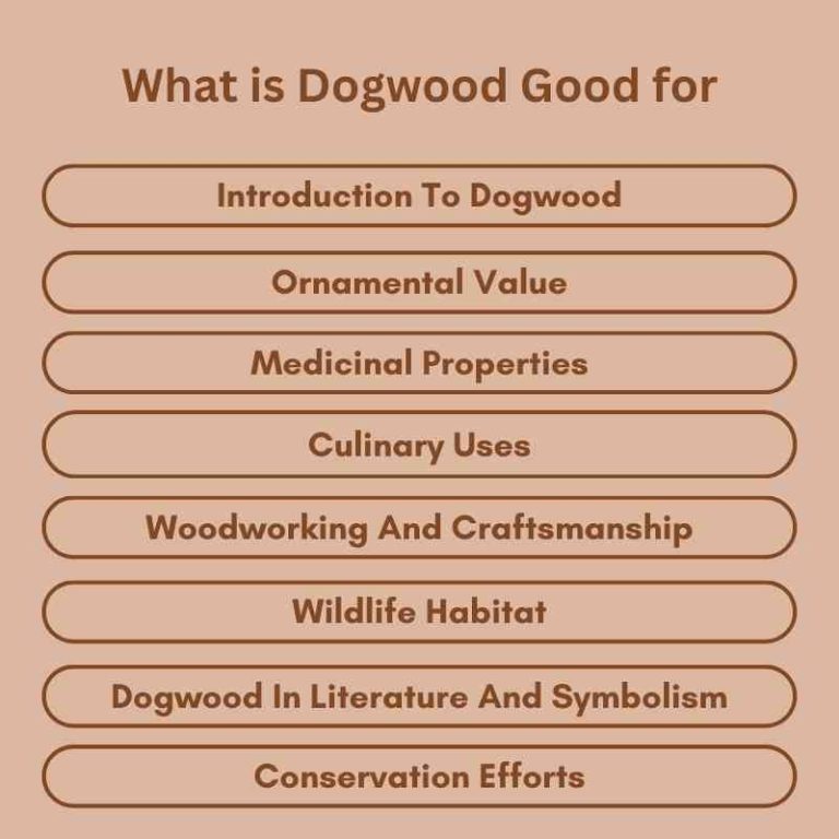 What is Dogwood Good for? Uncover Its Amazing Uses!