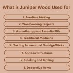 What is Juniper Wood Used for: Top Uses Unveiled!