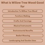 What is Willow Tree Wood Good for: Top Uses and Benefits