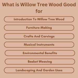 What is Willow Tree Wood Good for: Top Uses and Benefits