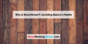 Why is Wood Brown?: Unveiling Nature's Palette