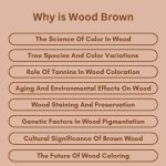 Why is Wood Brown?: Unveiling Nature's Palette