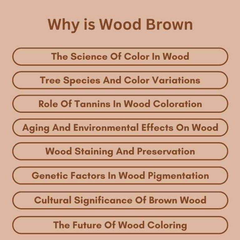 Why is Wood Brown?: Unveiling Nature's Palette