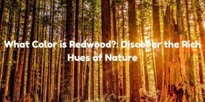 What Color is Redwood?: Discover the Rich Hues of Nature