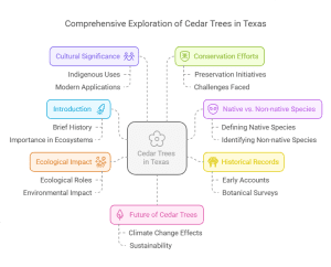 Are Cedar Trees Native to Texas? Discover the Surprising Truth