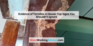 Evidence of Termites in House: Top Signs You Shouldn't Ignore