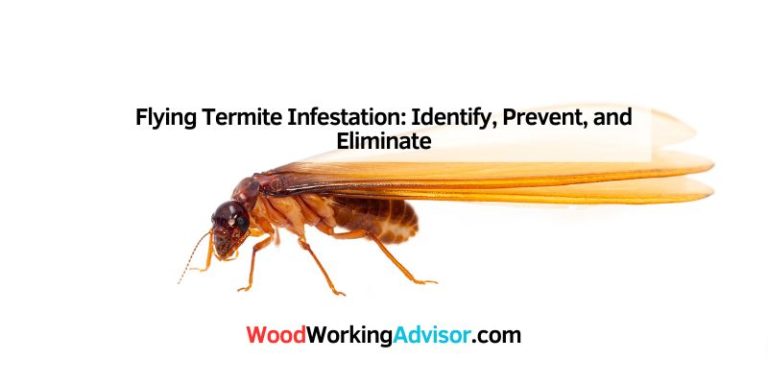 Flying Termite Infestation: Identify, Prevent, and Eliminate