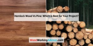 Hemlock Wood Vs Pine: Which is Best for Your Project?