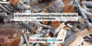 Is Sycamore Good Firewood? Discover the Benefits and Drawbacks ...
