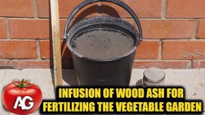 How to Make Wood Ash Tea: A Step-by-Step Guide