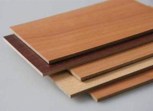 What is the Full Form of MDF: Discover the Details